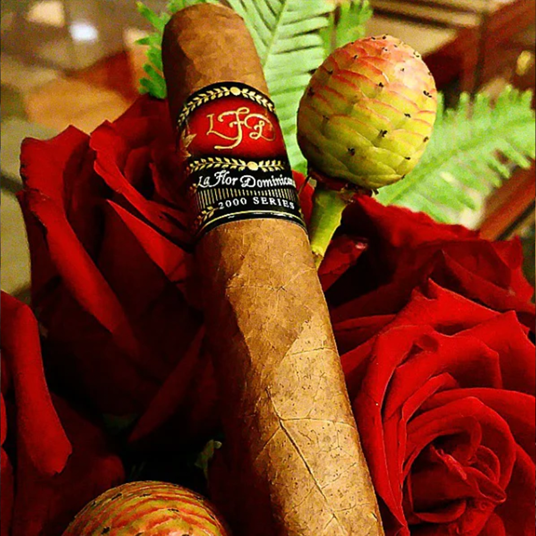 La Flor Dominicana – Jack Schwartz Importer
